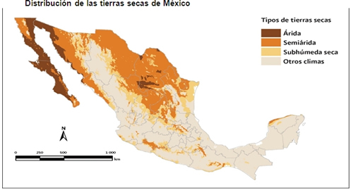 Desertificado El 22 Del Territorio De México